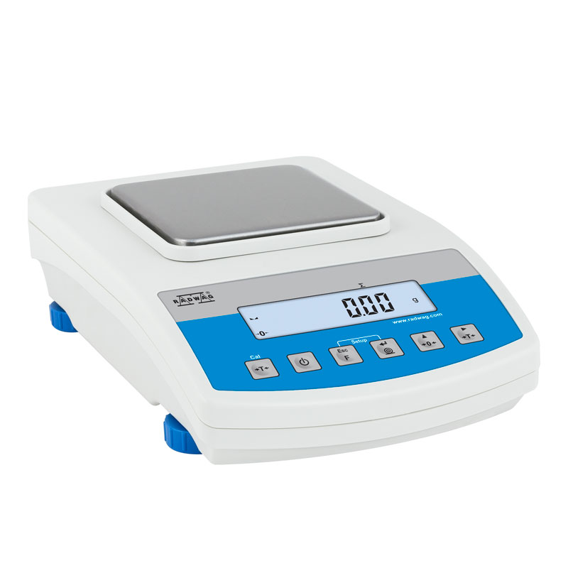 Jual Timbangan Radwag PM 25.C32 Precision Balance